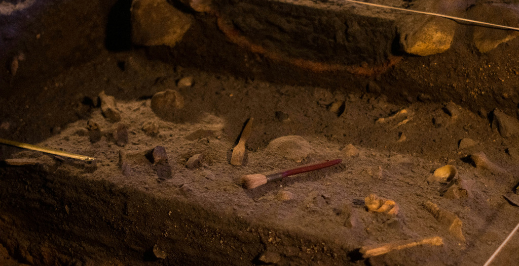 The Significance of the Ivory Lady