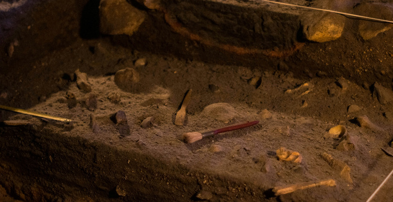 The Significance of the Ivory Lady